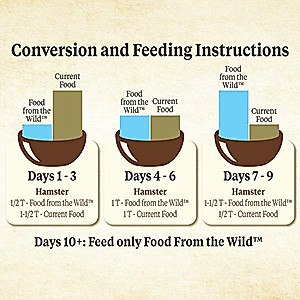 Kaytee Food from The Wild Natural Pet Hamster Food, 2 Pound