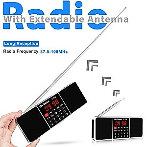 LEFON Multifunction Digital FM Radio Media Speaker MP3 Music Player Support TF Card USB Drive with LED Screen Display and Setting Timing Shutdown Function (Black)