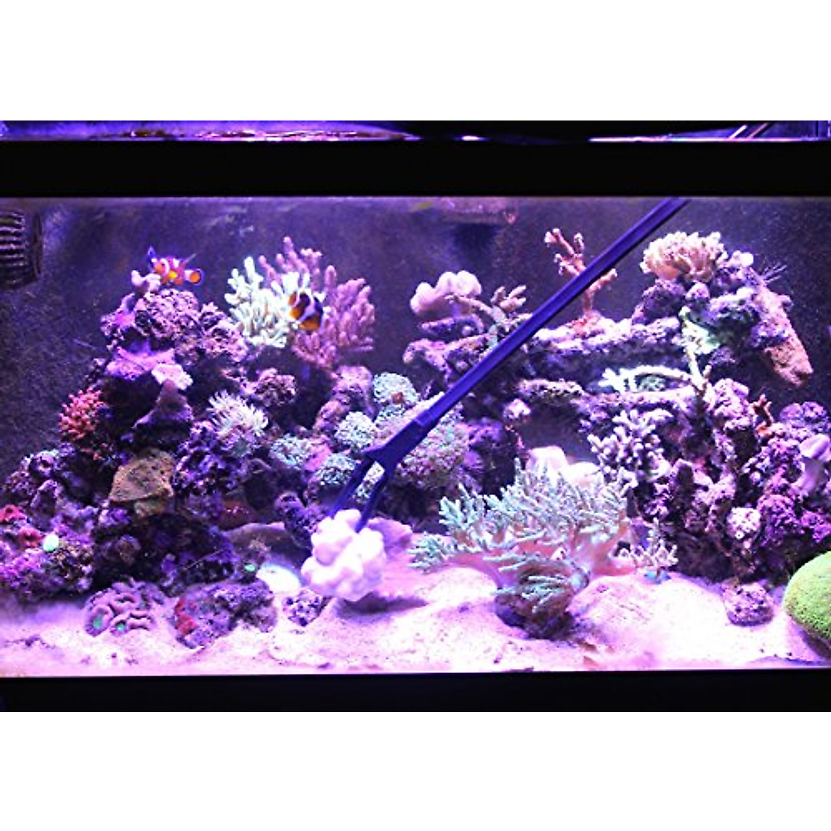 AquaticHI Aquarium Tongs 27 inch (70 cm), 100% Reef Safe, Multi Purpose for Fresh and Saltwater Fish Tanks, Clip Plants, Spot Feed Fish and Coral, Keep Hands Dry