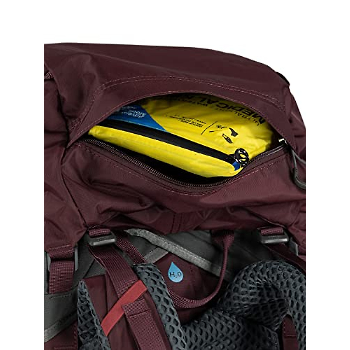 Osprey Kyte 58L Women's Backpacking Backpack with Hipbelt, Elderberry Purple, WM/L