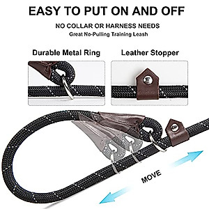 Fida Durable Slip Lead Dog Leash, 6 FT x 1/2" Heavy Duty Dog Loop Leash, Comfortable Strong Rope Slip Leash for Large, Medium Dogs, No Pull Pet Training Leash with Highly Reflective, Black