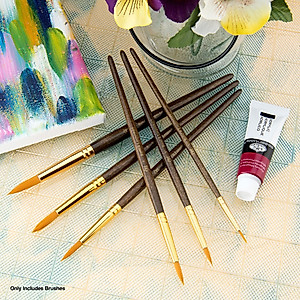 Royal & Langnickel Royal Zip N' Close Gold Taklon Round 6-Piece Brush Set