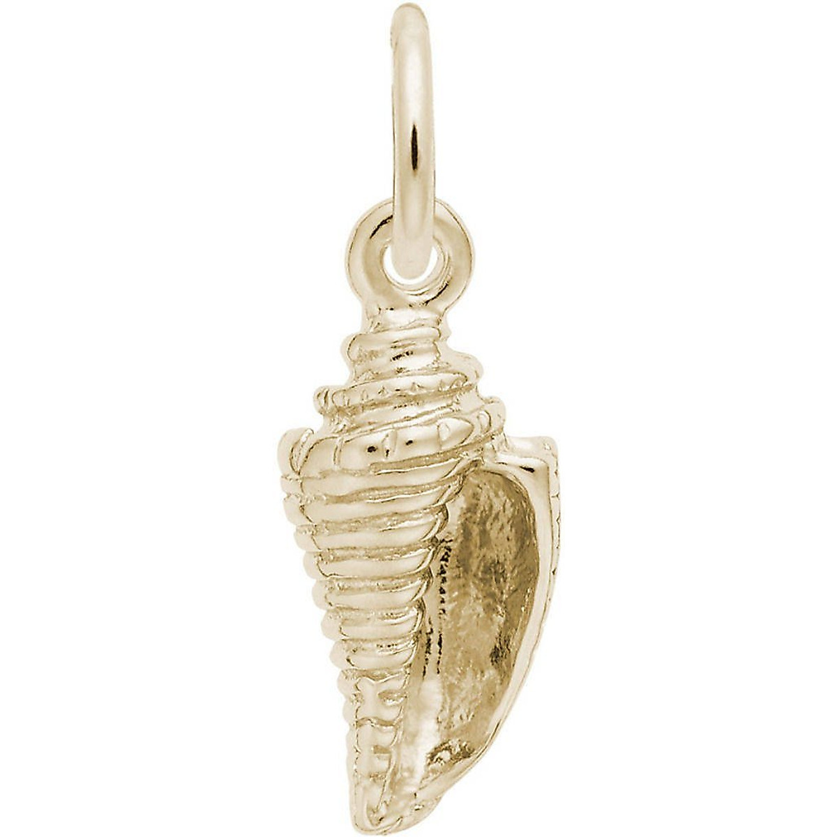Rembrandt Shell Charm - Metal - 14K Yellow Gold