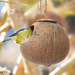 Skylety 3 Pcs Coconut Bird Nest Hut Hanging Bird House Coconut Hide with 6.9 Feet Fake Vines Coconut Fiber Shell Small Bird Cage Accessories for Parrot Parakeet Canary Reptile Crested Gecko Hamster