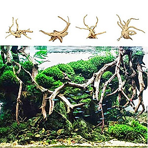 Tfwadmx Aquarium Driftwood Natural Wood Reptile Branch Fish Tank Tree Plant Stump Ornament Decor 4 PCS