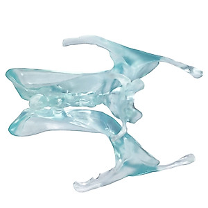 BXQQ Human Brain Ventricles Model, Enlarged Anatomical Model of Central Nerve of Amygdala and Thalamus in Ventricle