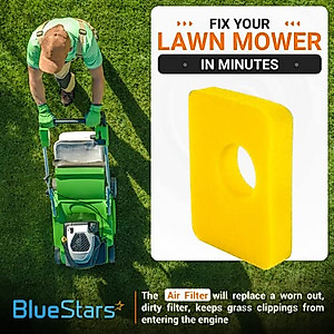 BlueStars 6 Pcs 799579 Air Cleaner Foam Filter - Replaces for BS 4248 5434 799579 - Fits for 09P602 09P702 550e-550ex Series 09P000, 08P000 Engine Lawn Mower