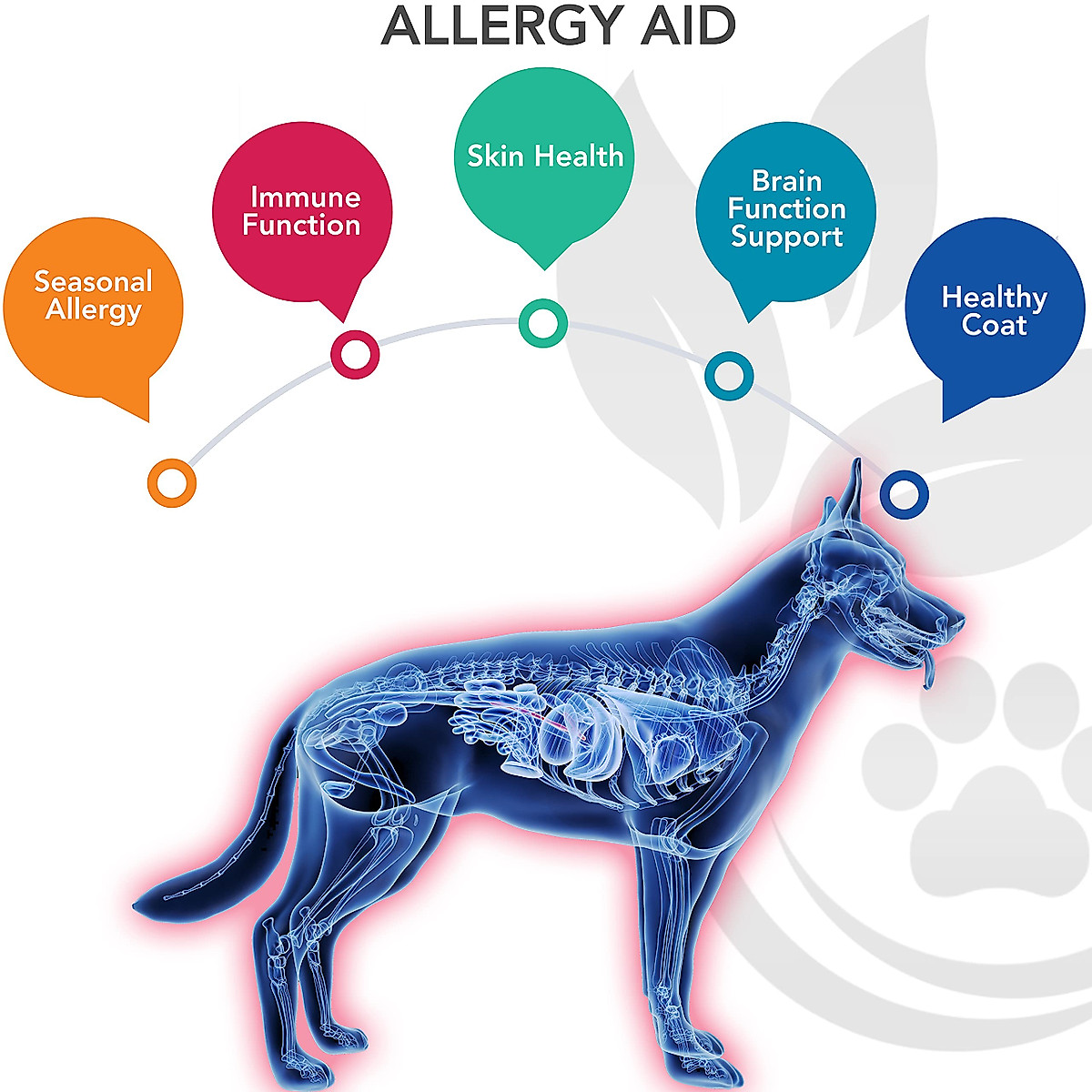 ICROKUS Allergy Immune Supplement for Dogs - Digestive Dog Allergy Relief Chews - Dog Allergy Treats for Seasonal and Food Allergies - Skin Itch, Hot Spots - 120 Soft Chews