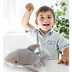 DolliBu Gray Shark Plush Huggie Bank - Super Soft Stuffed Animal Money Bank Savings Storage for Little Kids, Cute & Fluffy Fun Coin Bank Toy, Wildlife Plush Piggy Bank for Girls & Boys - 9 Inch