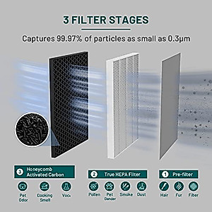 Jafanda Air Purifiers 2X Filter Replacement,True HEPA and Activated Carbon 2X Filter, Made for JF260 Air Purifiers