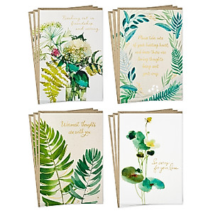 Hallmark Sympathy Cards Assortment, Watercolor Greenery (12 Assorted Thinking of You Cards with Envelopes)