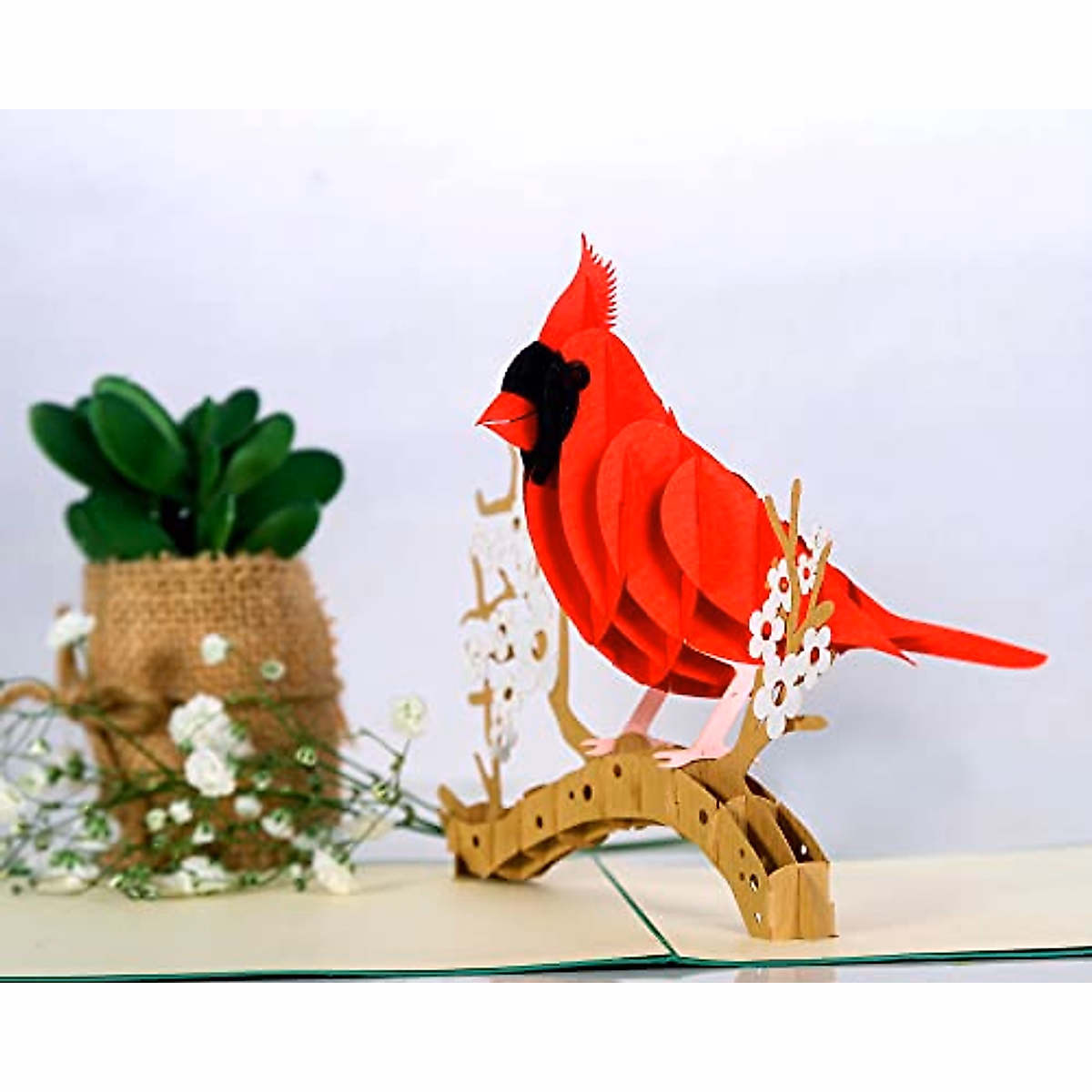 CUTPOPUP Mother's Day, Birthday Card Pop Up, 3D Greeting Card (Red Cardinal)