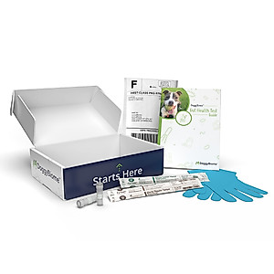 AnimalBiome Dog Probiotics Test Kit - Gut Microbiome Health Test - DoggyBiome