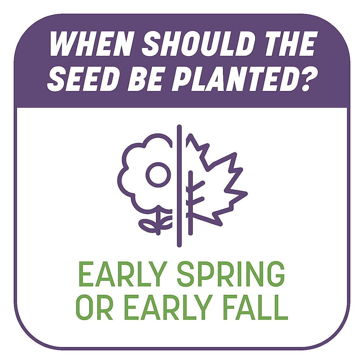 Pennington Smart Patch Dense Shade Mix 10 lb