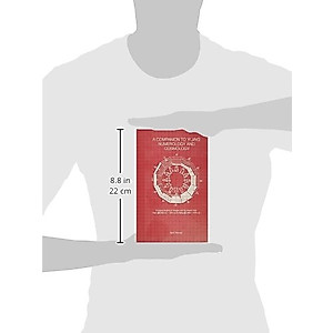 A Companion to Yi jing Numerology and Cosmology