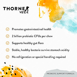 ThorneVET Probiotic Support Formula – Gastrointestinal Support for Dogs, Cats & Horses 60 Soft Chews