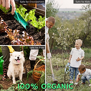 Airthereal Revive Magic Fertilizer Compost Starter, Easy Plant Care Compost Accelerator for Kitchen Composter - Compost Food Waste Quickly and Easily with Low Odor