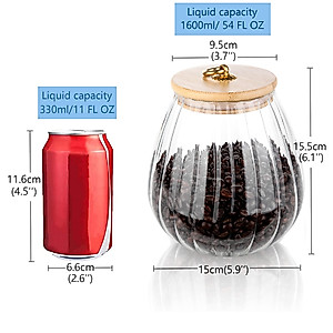 FANTESTICRYAN Glass Coffee Nuts Canister Airtight Storage Jar Petal Decorative Container with Bamboo Lid Metal Handle Easy to Grasp 1600ml, 54 FL OZ (Large Oval)