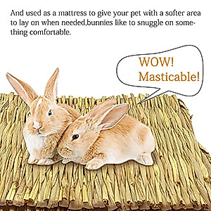 Tfwadmx 20 Pcs Bunny Grass Mat Rabbit Natural Straw Woven Bed Small Animal Cages Sleeping Hay Mats Nest Play Chew Toys for Guinea Pig, Parrot, Hamster, Chinchilla, Squirrel and Small Animal