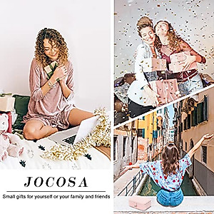JOCOSA Travel Jewelry Box, Jewelry Organizer for Women Girls, Adjustable Storage Case for Earrings Necklaces Rings, Gift for Christmas Birthday Valentine's Day Mother's Day (Pink)