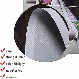 Eainb Graduation Celebration Backdrop Grade 2023 Prom Party Decoration Banner Graduation Party Photography Background Gold Curtain Stairs Student Teacher Portrait Photoshoot Prop,4x6ft