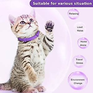 Weewooday 5 Set Calming Collar for Cats Adjustable Waterproof Cat Calming Collars Reduce Anxiety Stress Cat Collars with 5 Pet ID Pendants (Purple)