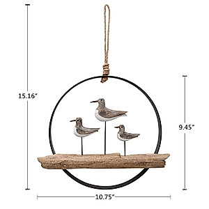 E-view Nautical Wood Wall Decoration Rustic Wooden Hanging Circle Ocean Home Decor Hand Carved Beach Themed Ornament for Door (Seagull)