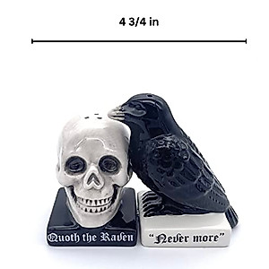 Rustix Quoth The Raven Ceramic Gothic Halloween Decor Cute skull Horror Salt and Pepper Shaker Set Scary Spooky and witchy Gift Fall Season Decor for Kitchen
