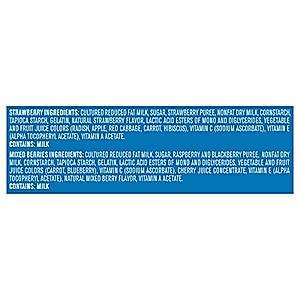 Gerber Yogurt Melts Variety Pack, 4 Oz, 4 Ct