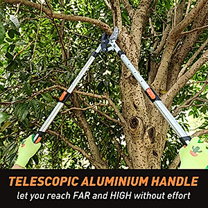 Colwelt Extendable Anvil Loppers, Branch Cutter with Compound Action, Chops Thick Branches Ease, 27-41'' Heavy Duty Telescopic Ratchet Anvil Loppers, 2 Inch Clean Cut Capacity