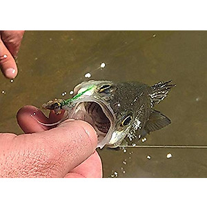 Piscifun Fly Fishing Leader with Pre-Tied Loop, Tapered Fly Line Leader, Nylon, Clear, 9ft, 6 Pack, 5X