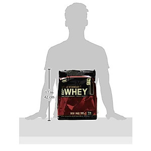 Optimum Nutrition Gold Standard 100% Whey, Double Rich Chocolate, 7.64 lb (3.47 kg)