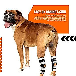 NeoAlly - 3-in-1 Long Rear Leg Hock Brace, Dog Leg Brace for Rear Leg with Rigid & Spring Inserts, Hock and Ankle Support, Dog Leg Sleeve with Reflective Straps, XL, 1 Pair