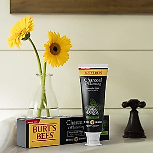 Burt’s Bees Toothpaste, Natural Flavor, Charcoal Fluoride-Free Toothpaste, Zen Peppermint, 4.7 oz, Pack of 3