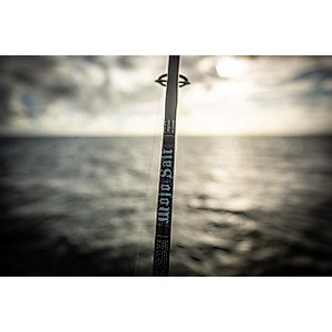 St. Croix Rods Mojo Salt Spinning Rod, Black Cherry Metallic, 7'6"