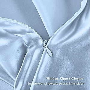Silk Pillowcase for Hair and Skin,Mulberry Silk Pillow Case,Health,Soft and Smooth,Anti Acne,Beauty Sleep,Both Sides Natural Silk Pillow Covers with Hidden Zipper for Gift（Standard Size,Haze Blue）