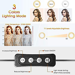 SALTOUSA Video Conference Lighting Kit,6.3 inch Selfie Ring Light,Video Conferencing,Remote Working,Zoom Call Lighting,Self Broadcasting and Live Streaming,YouTube Video,TikTok,Black-A