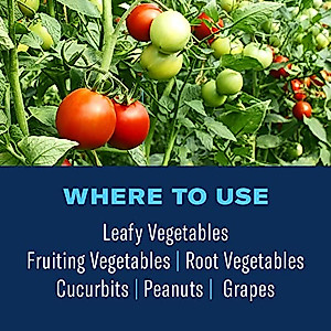 BioAdvanced Tomato & Vegetable Insect Killer, 32-Ounce, Ready-to-Spray