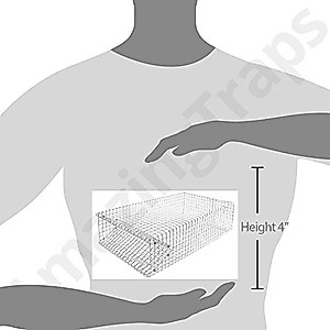 AmazingTraps The Amazing Humane Snake Trap - Catches and Release All Kinds of Snakes - Reusable!