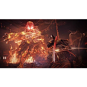 仁王２ (早期購入特典（「太初の侍の鎧一式」ダウンロードシリアル） 同梱)