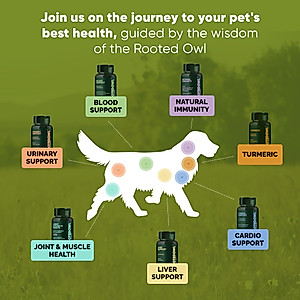 Rooted Owl Turmeric - Turmeric Supplement for Dogs and Cats - with Curcumin, Piperine and Vitamin C for Anti-Inflammatory Relief - 60/ct