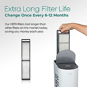 Alen Air Filter TF50-Pure Replacement HEPA Filter for Paralda Air Purifier - Captures Allergens, Dust, & Mold (1 Filter)