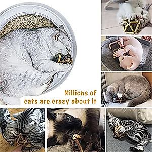 Gochanmon Catnip Toys-2Pcs Natural Silvervine Stick Catnip Ball&Bell Ball-Cat Toys for Indoor Cats- Cleaning Teeth Molar Tools Matatabi Cat Chew Toy-Kitten Toys
