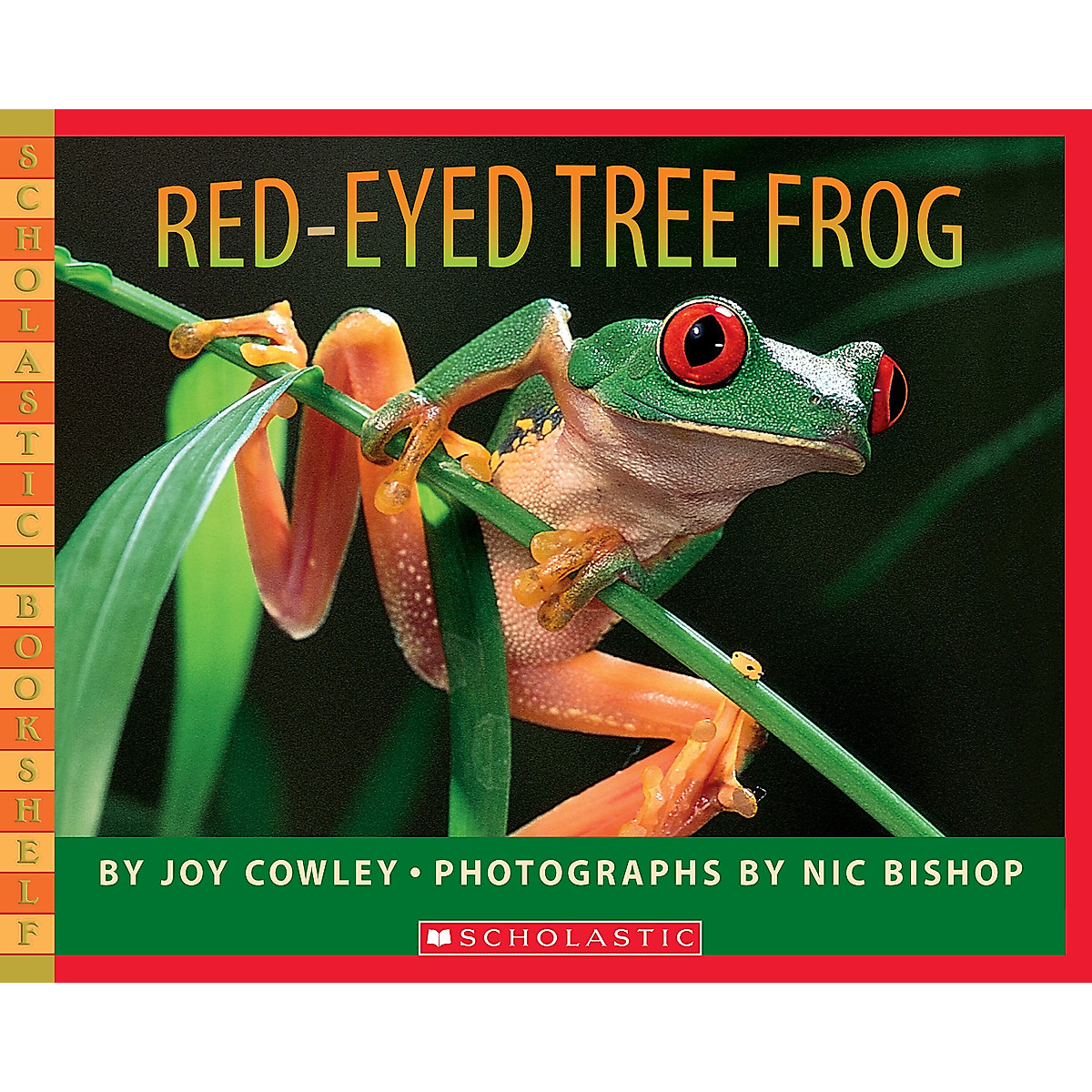 Red-eyed Tree Frog (Scholastic Bookshelf)