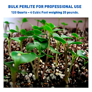 Norcal Perlite Horticultural Organic Certified Premium Screened Coarse – Garden Indoor Outdoor Plants – Soil Additive Better Aeration and Drainage - 4 Cubic Feet (103 Quarts) 1 Bag