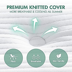 14 Inch Queen Mattress in a Box, Lechepus Plush Memory Foam Hybrid Mattress with Pocket Innerspring, Soft But Supportive Mattress for Pressure Relief, Queen Size 60"*80"