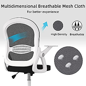 Sytas Office Chair Ergonomic Desk Chair, Rolling Swivel Mesh Computer Task Chair with Flip-up Arms Lumbar Support and Height Adjustable, White