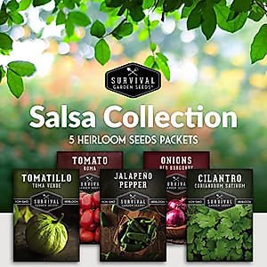 Survival Garden Seeds Salsa Collection Seed Vault - Tomatillo, Tomato, Onion, Jalapeño, Cilantro - Non-GMO Heirloom Seeds for Planting - Grow Vegetables at Home