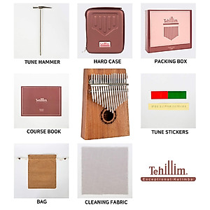 Tehillim Kalimba 17 Keys Thumb Piano with Hard Case, Study Instruction and Tunning Hammer, Portable Mibra Sanza African Wood Finger Piano, Gift for Kids Adult Beginners Professional (Mahogany wood)