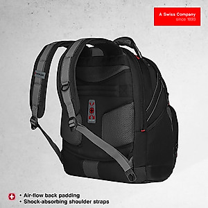 Wenger Synergy Backpack, Gray (GA-7305-14F00)